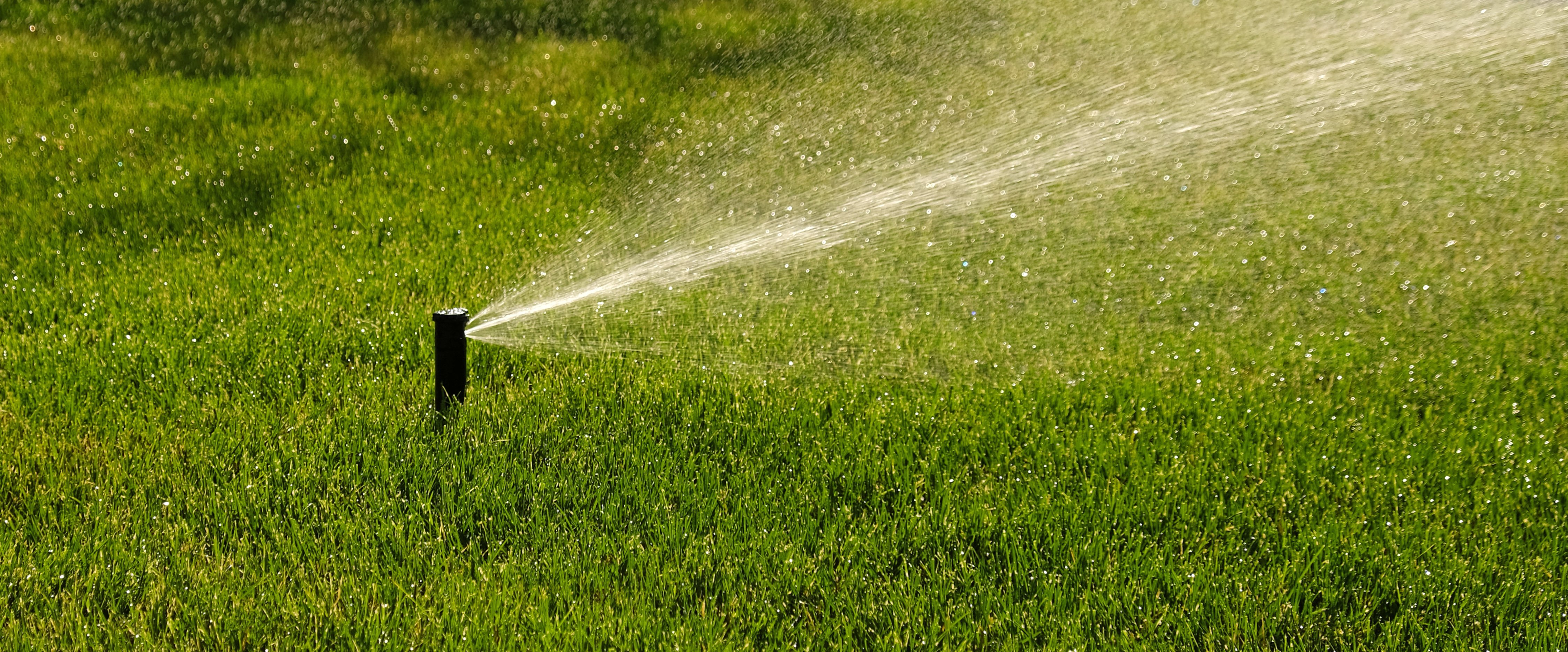 Lawn Watering Tips for Green, Healthy Grass | TLC - The Lawn Company